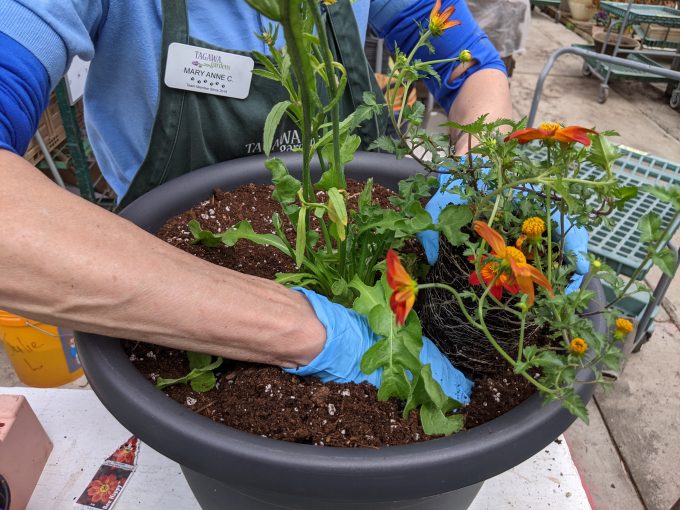 Big overflowing flowerpots in just a few easy steps!