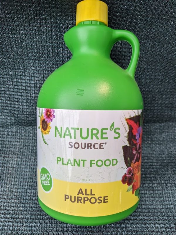 Eight Great Tips for Healthy Hanging Baskets