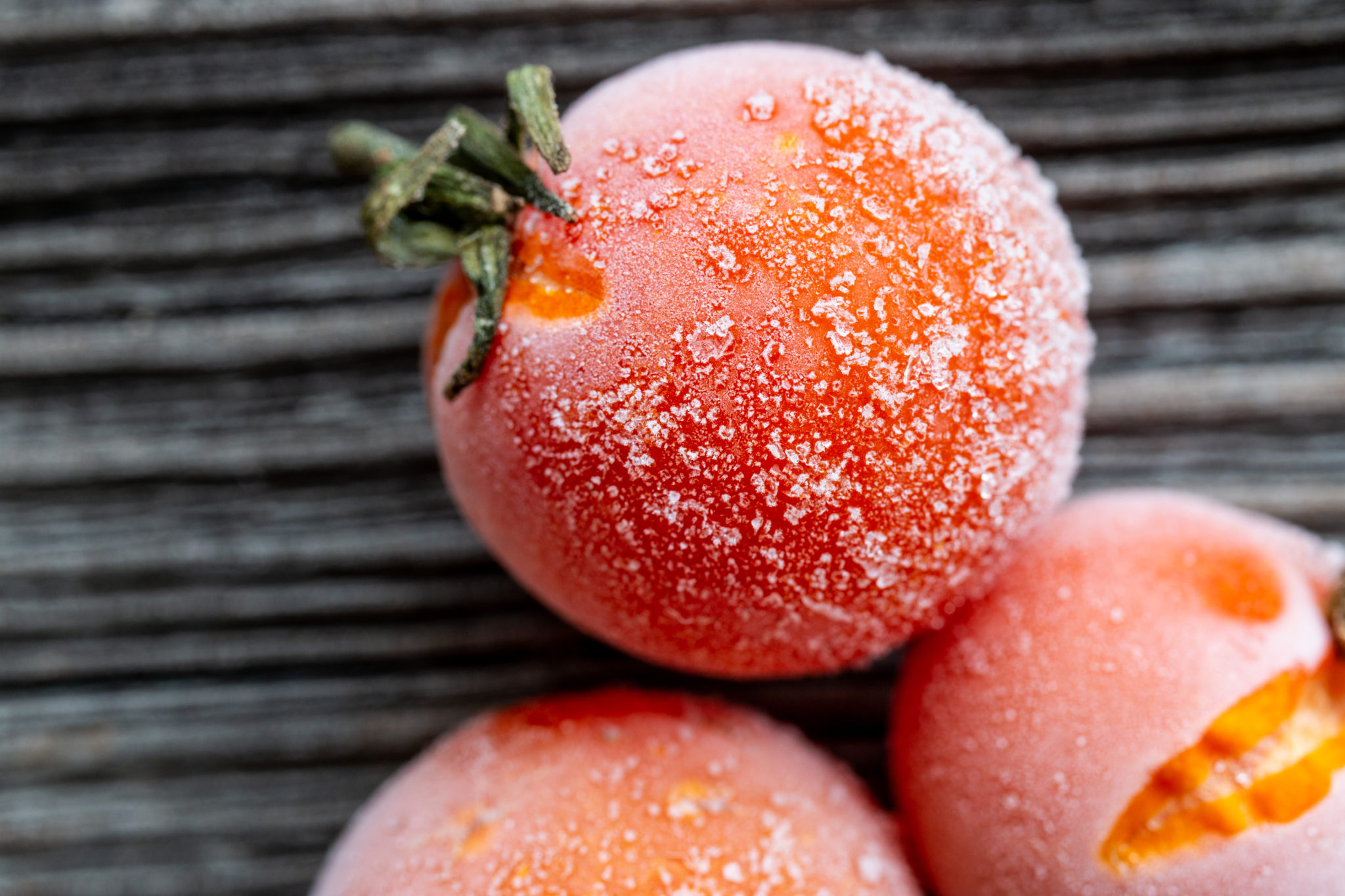 Breaker tomatoes Archives - Tagawa Gardens