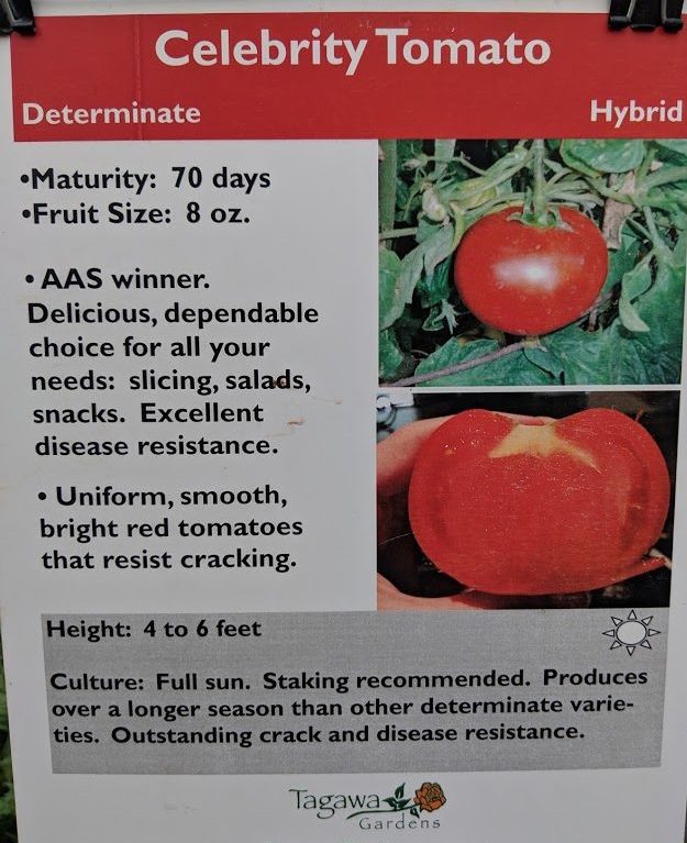 What do all of those tomato terms mean anyway?