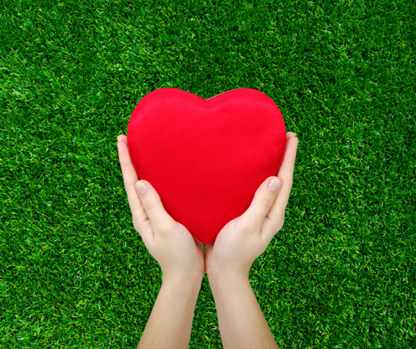 Now's the time to show your lawn some love!