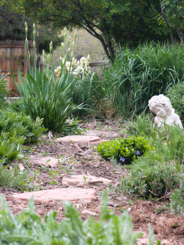 Working with What You Have: Landscape Solutions for Problem Areas ...