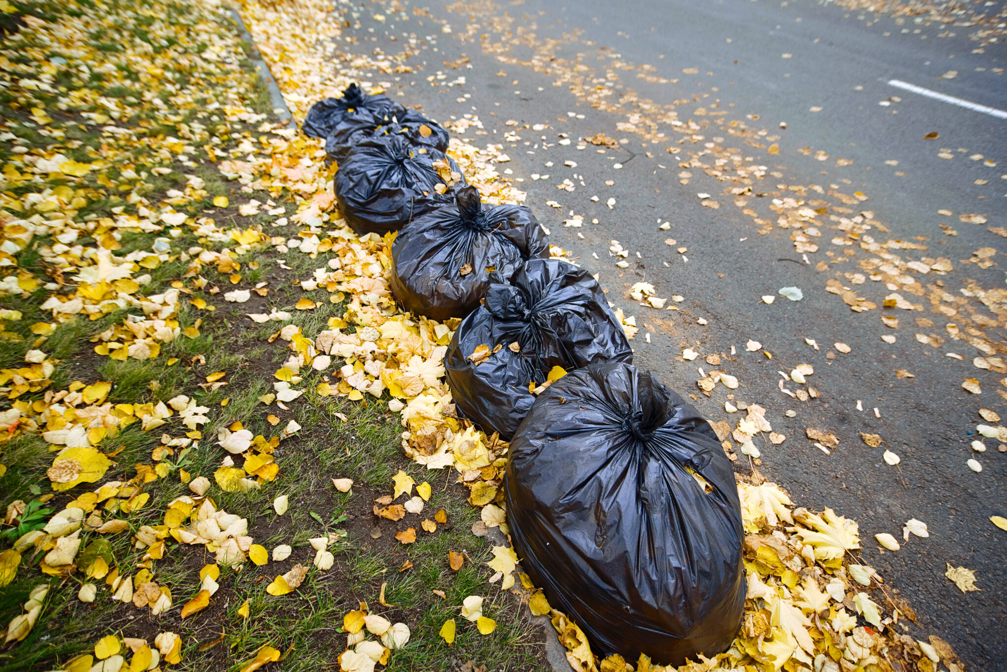 Need some tips on what you should and shouldn't do in your garden right ...